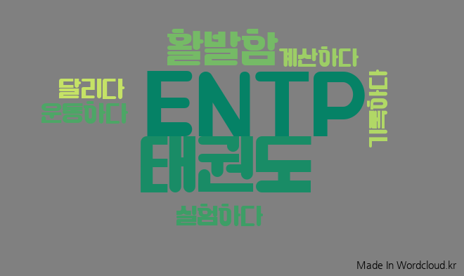 ENTP 태권도 활발함 - 워드클라우드 : 워드클라우드 생성기